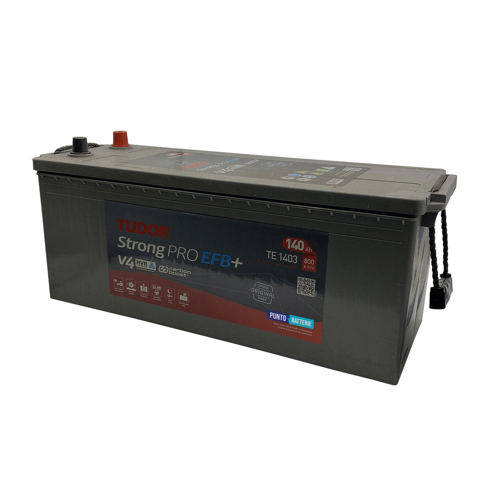 Batterie da 100 Ah - Puntobatterie